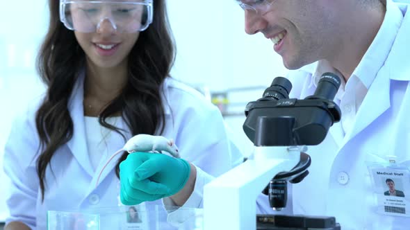 Scientist observing behavior experiment animal, Stock Footage | VideoHive