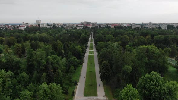Aerial View of Sidewalk Going Through Park Surrounded by Trees Leading ...