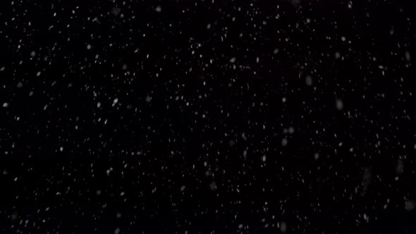 Real Snow Snowing, Stock Footage | VideoHive