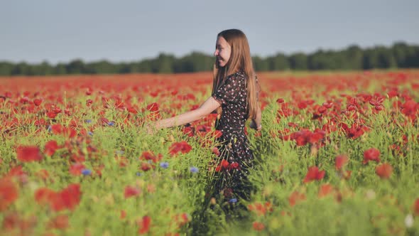A Young Girl Walks Through a Red Poppy Field, Stock Footage | VideoHive