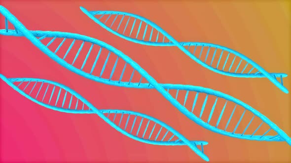 abstract colorful animation of DNA., Motion Graphics | VideoHive