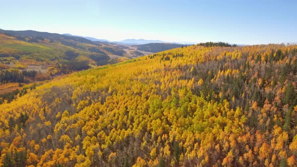 Fall colors on Kenosha Pass, Colorado, Stock Footage | VideoHive