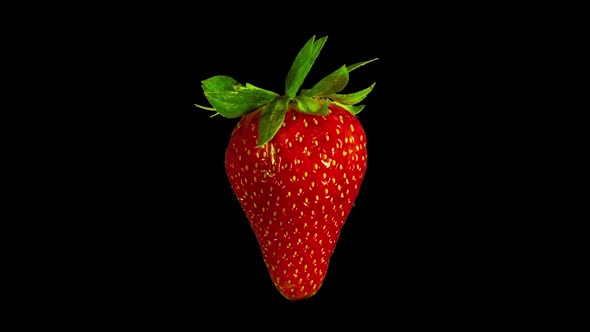 Rotating Strawberry, Isolated Fruit with Alpha Matte, Motion Graphics