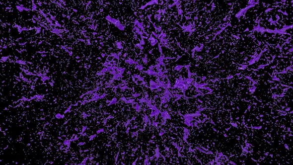 Violet, Motion Graphics | VideoHive