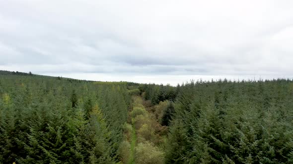 Aerial View of the Forest By Burt in County Donegal Ireland, Stock Footage
