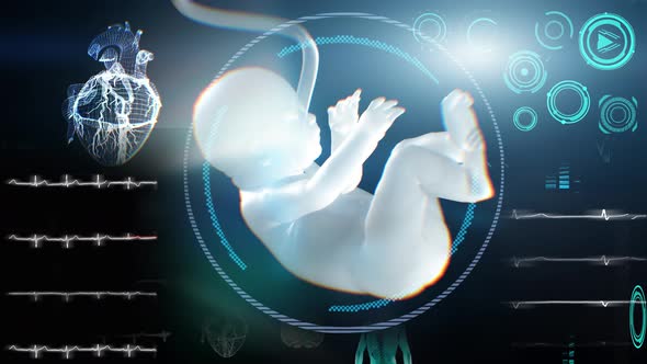 medical Interface, unborn child in the womb 3D render, Motion Graphics