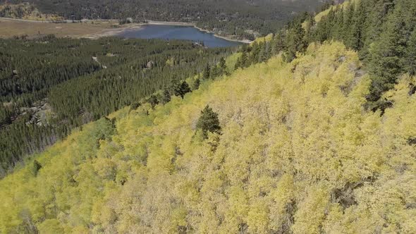 Fall foliage at Boreas Pass, CO, Stock Footage | VideoHive