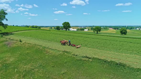 Aerial View of An Amish Farmer Harvesting His Crops With Three Horses ...