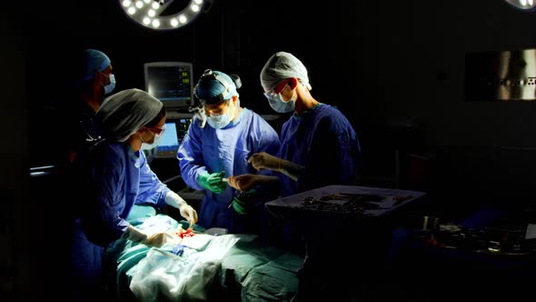 Surgeons performing operation 4k, Stock Footage | VideoHive