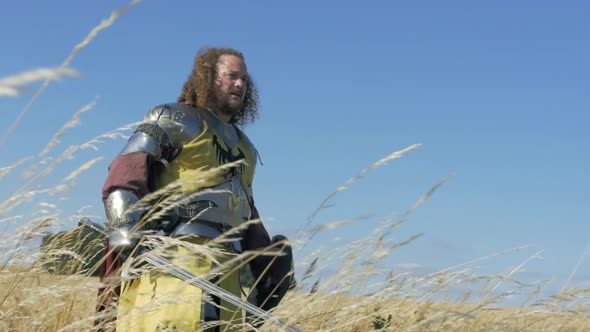 Knight on a hillside looking at the horizon ahead. Slow motion. Medium ...