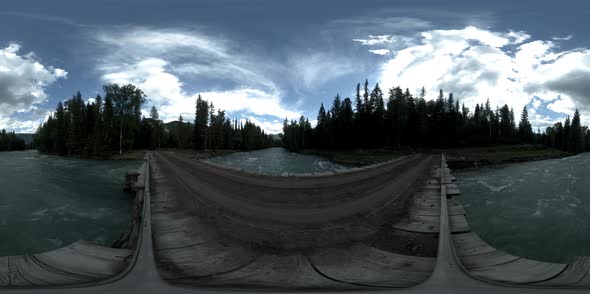 360 VR Virtual Reality of a Wild Forest. Pine Forest, Small Fast, Cold ...