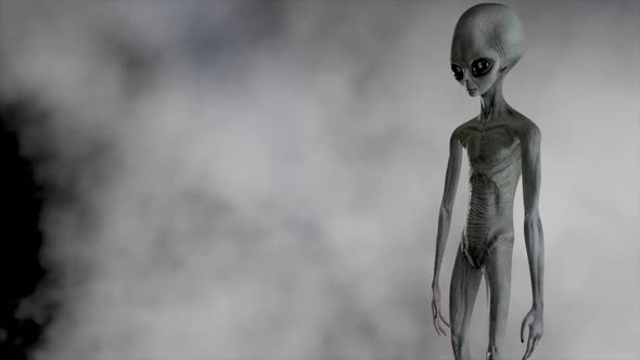 Scary Gray Alien Stands and Looks Blinking on a Dark Smoky Background ...