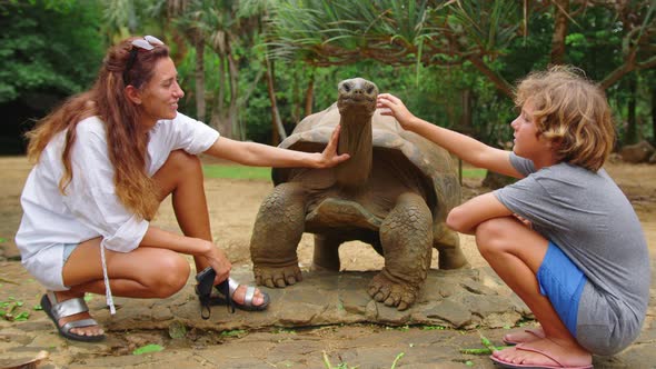 Interaction Between Humans and Animals, Stock Footage | VideoHive