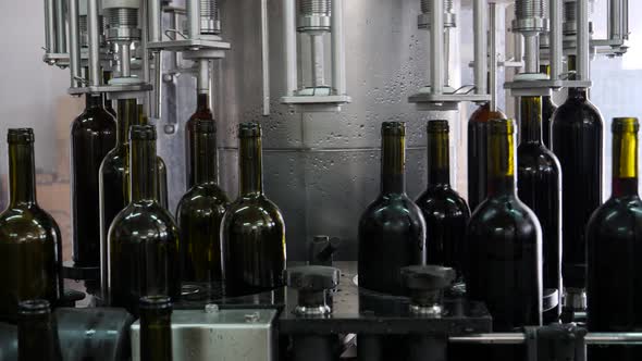 Machinery in a wine bottling plant pick up empty bottles and fill them ...
