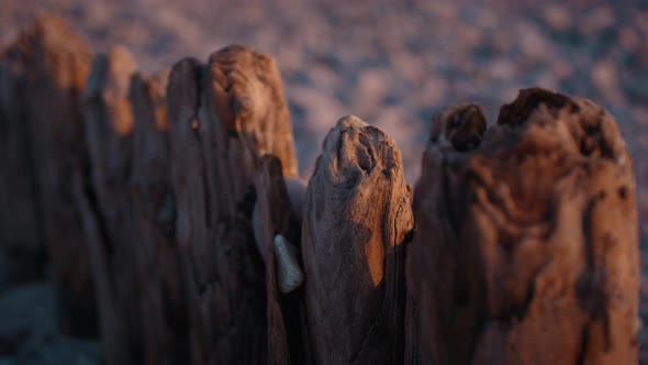 Weathered Wooden Posts On Beach, Stock Footage | VideoHive