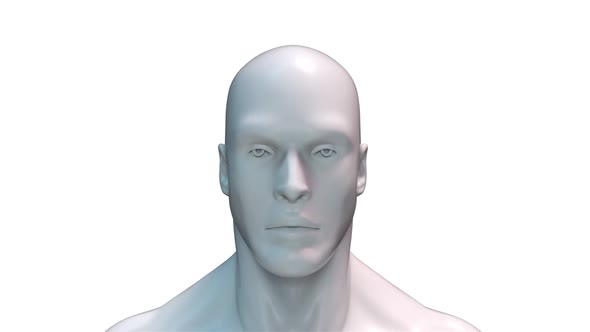 Noise Head, Motion Graphics | VideoHive