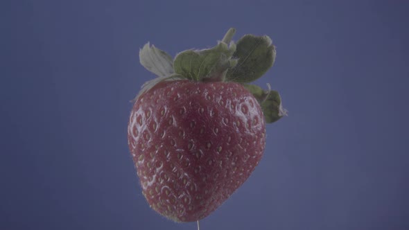 Strawberry Rotating with Loop on Blue Screen for Chroma Key, Stock Footage