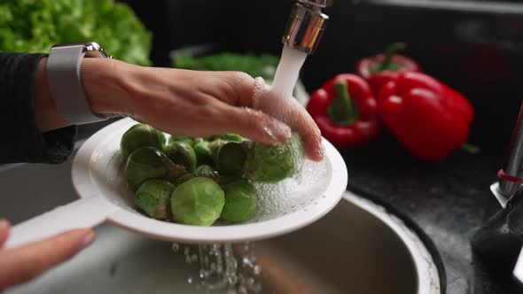 Washing the Brussels Sprout in Woman Hands, Stock Footage | VideoHive