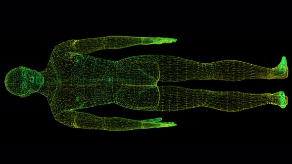 Head Up Display of Advance Human Biomedical Diagnostic Human Body 01 ...