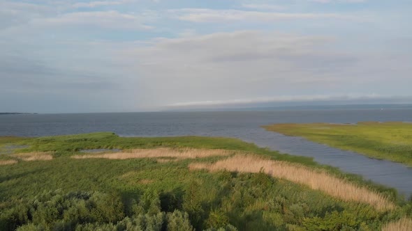 The shore of the Vistula Lagoon covered with rushes., Stock Footage