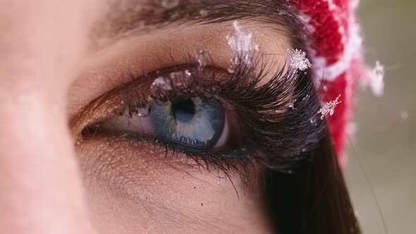 Open Expressive Blue Eyes with Frost or Snow on Eyelashes Macro Close ...