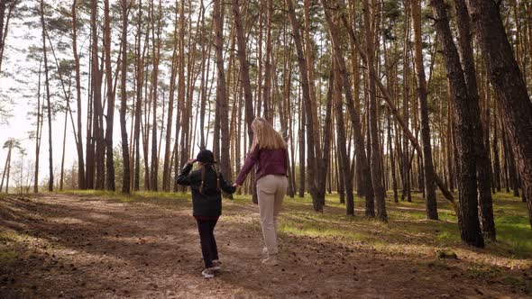 A Person Standing Next To a Tree in a Forest, Stock Footage | VideoHive