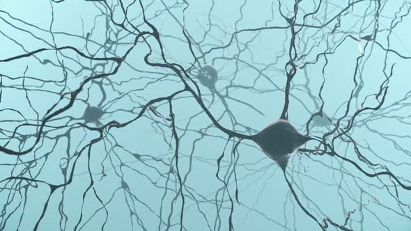 Neuron Cluster Signal Transfer Inside Human Brain, Motion Graphics