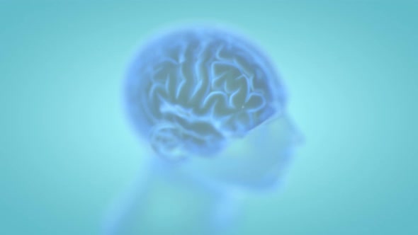 Transparent human male head with visible brain revolving in 3d space ...