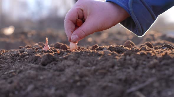 Child Reciting the Holy Quran by stockvideo | VideoHive