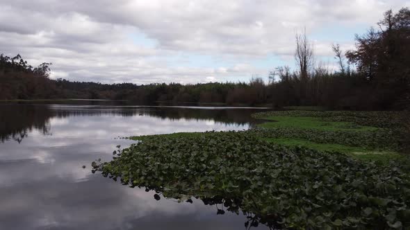 Pond River 4K 01, Stock Footage | VideoHive