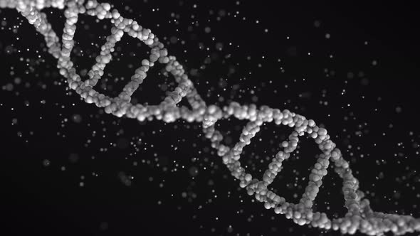 Gray DNA Molecule Model, Motion Graphics | VideoHive