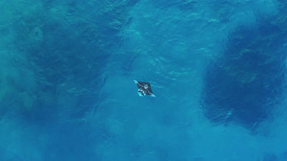 A beautiful, large Manta Ray flapping it's wings by the surface of the ...