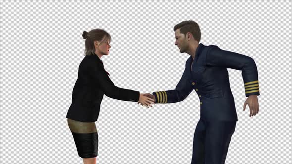 Business Persons Handshake, Motion Graphics | VideoHive