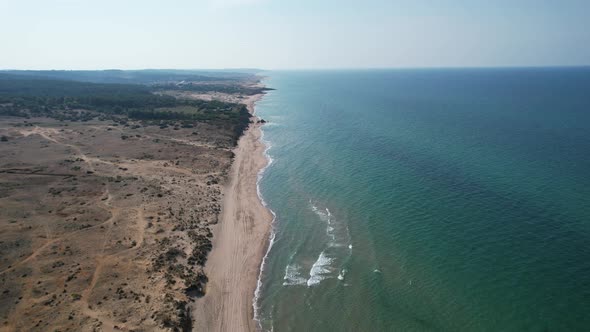 Sea Beach Forest Drone View, Stock Footage | VideoHive