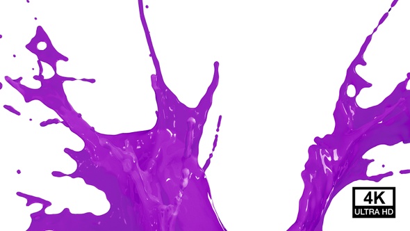 Purple Paint Drops Splash V4, Motion Graphics | VideoHive