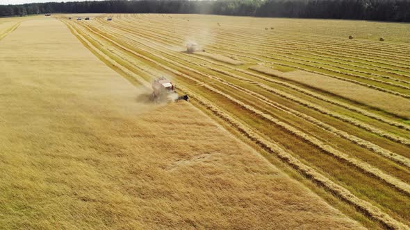 Two Harvesters Red Color Harvesting Crops, Stock Footage | VideoHive