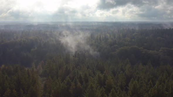 Fog is raising while the sun is warming the forest landscape after a ...