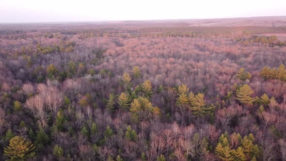 Beautiful autumn forest landscape of Leota, Michigan -aerial pan, Stock ...