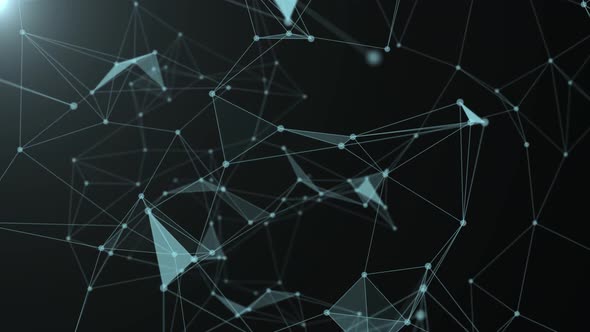 Growing network, Motion Graphics | VideoHive