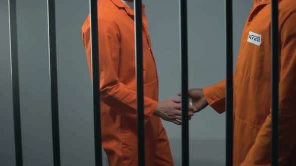 African-American Male Prisoner Giving Dose to Caucasian Inmate, Drug ...