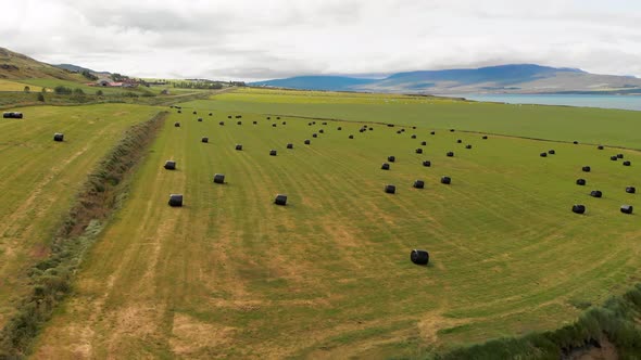 Haystacks are Wrapped in Plastic Close Up, Stock Footage | VideoHive