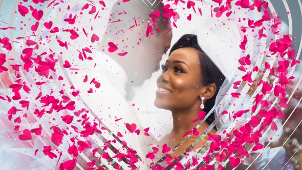 Wedding Transitions, Motion Graphics | VideoHive