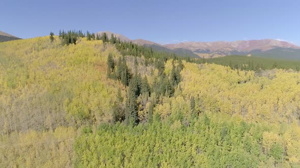 Fall foliage at Boreas Pass, CO, Stock Footage | VideoHive