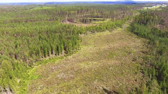 Aerial vast scenery of a logging area forest and a big farm in the ...