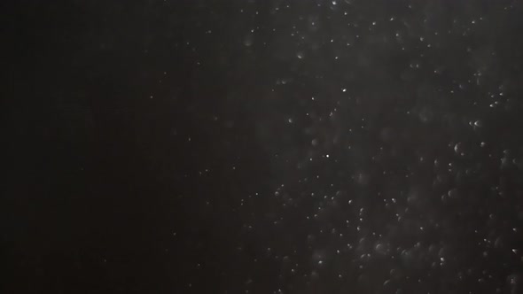Particles, Stock Footage | VideoHive
