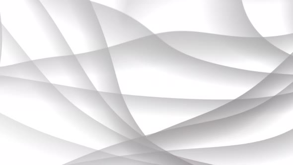 White Background, Motion Graphics | VideoHive