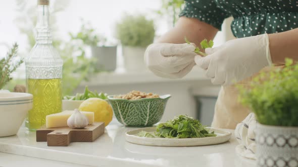 Anonymous woman tearing green basil leaves during cooking in kitchen ...