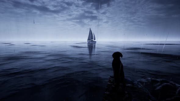 Night Sea View, Motion Graphics | VideoHive