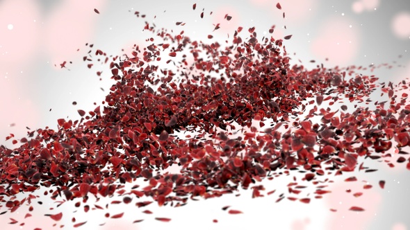 Rose Petals Vortex Shot 01, Motion Graphics | VideoHive