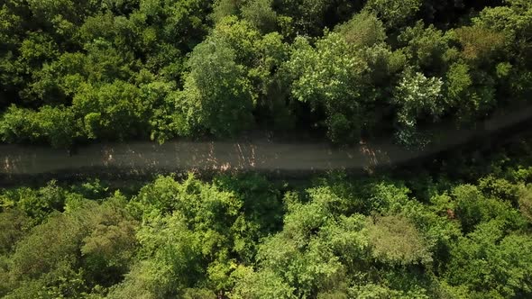 Stunning Aerial Top Down View of Mountain Trail Between Green Forest ...